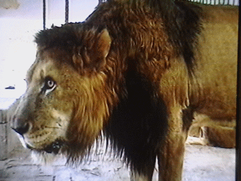 PakistanPaedia - Bahawalpur