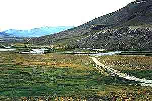 PakistanPaedia - National Parks of Pakistan (Deosai)
