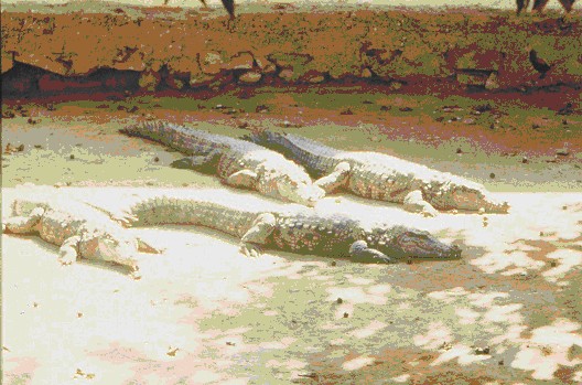 PakistanPaedia - National Parks of Pakistan (Hingol)